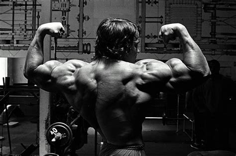 Chia sẻ với hơn 61 về hình nền bodybuilding hay nhất hawa vn