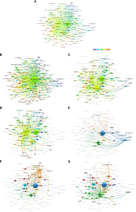 Frontiers Bibliometric Analysis Of Ferroptosis A Comprehensive
