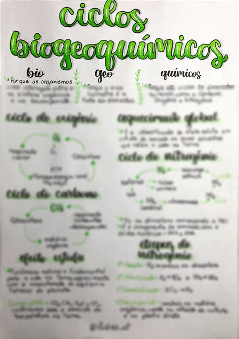 SOLUTION Ciclos Biogeoqu Micos Resumo Studypool