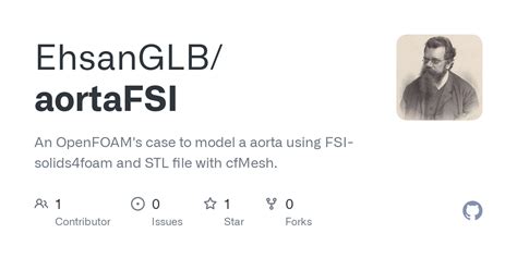 GitHub EhsanGLB AortaFSI An OpenFOAM S Case To Model A Aorta Using
