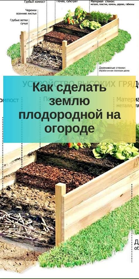 Как сделать землю плодородной на огороде Огород Идеи посадки растений Садовые ящики