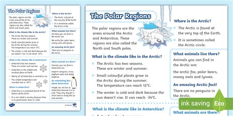 Ks1 Polar Regions Fact File Teacher Made Twinkl