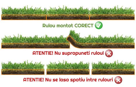 Gazon Rulou Montaj Instructiuni Pas Cu Pas Fertilizare Pentrugazon Ro