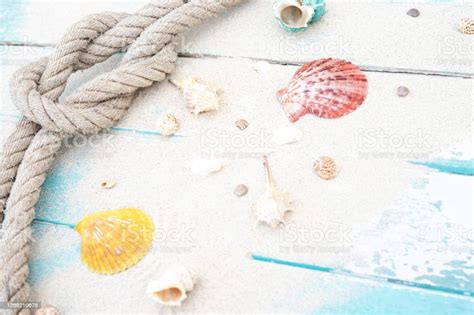 푸른 나무 배경에 바다 조개와 불가사리와 여름 시간 개념 0명에 대한 스톡 사진 및 기타 이미지 0명 관광 관광 리조트