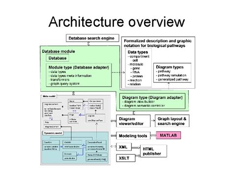 Bio Uml Modeler Matlab Constants Declaration Global K1
