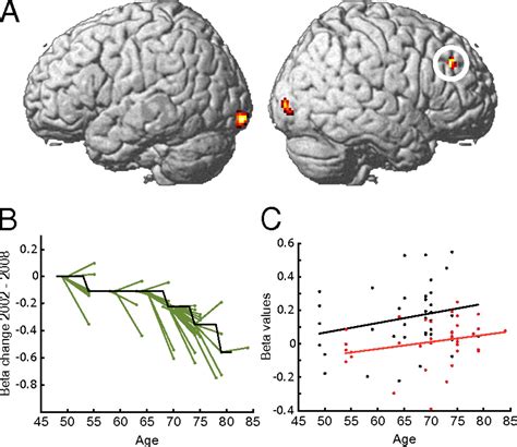 longitudinal evidence for diminished frontal cortex function in aging