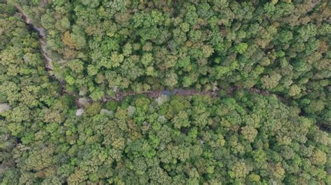 Bigasstwerk Videos Download The Best Free 4k Stock Video Footage