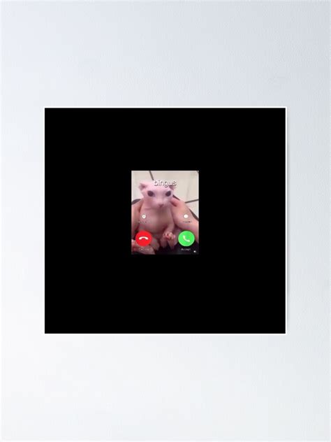 Bingus Cat Meme Bingus Cat Meme Bingus Cat Meme Poster For Sale By
