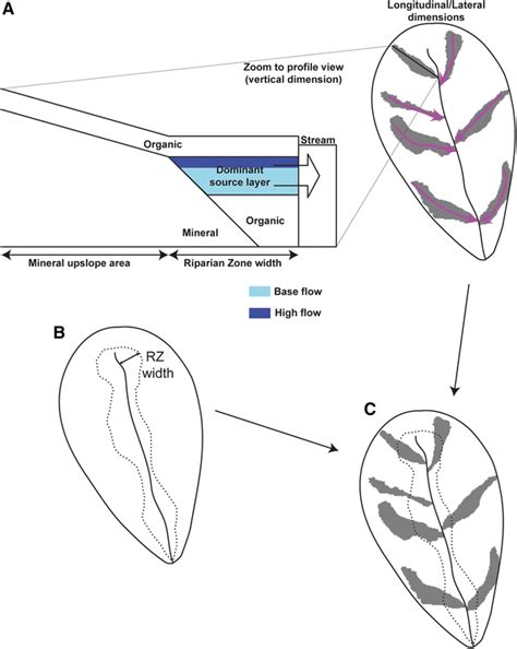 A Pattern Of Hydrological Connectivity In A Hypothetical Headwater Download Scientific Diagram