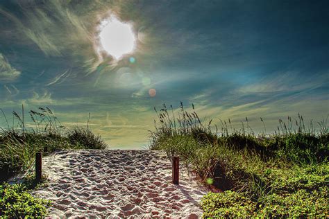 Scorching Sun Photograph By Chris Levy Fine Art America