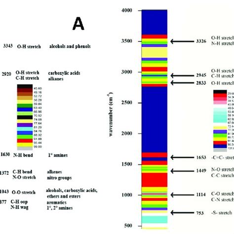 A Ft Ir Spectrum Of C Colocynthis Methanolic Extract And B Ft Ir