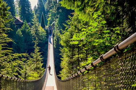 Vancouver Capilano Suspension Bridge Park Entry Ticket SuiteTrails