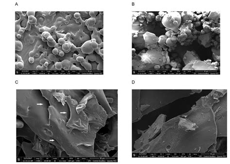 Micrographs Of Cocoa Pulp Powder Obtained By Spray Drying With 15 A Download Scientific