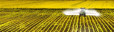 Fertilizantes Foliares Agro Bayer