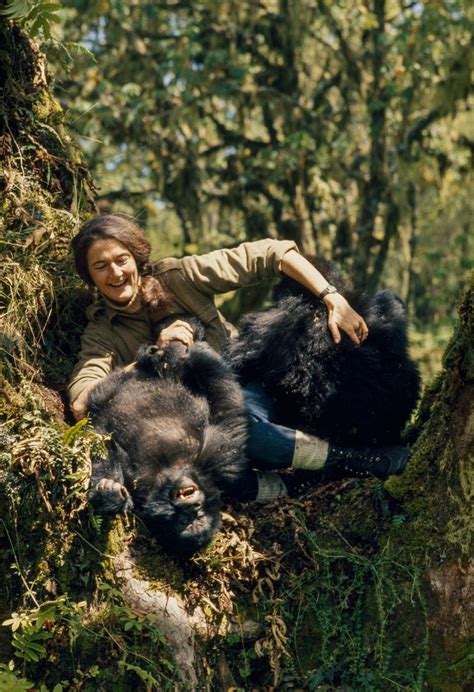 The Digital Teacher Schools Dian Fossey A Great Woman In The Mist