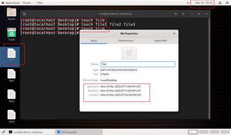 Linux中常用的文件管理命令linux文件管理命令 Csdn博客