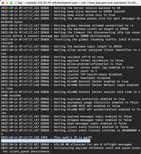 Aws Hivemq Scale Hivemq Support Forum