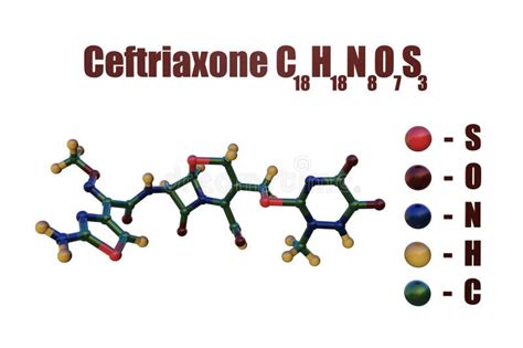 Antibiotic Ceftriaxone Stock Illustrations 22 Antibiotic Ceftriaxone