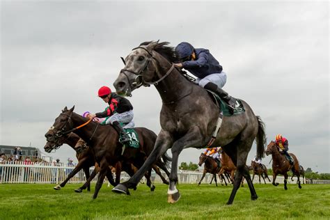 Royal Ascot Trials Day 2024 Free Entry For Our Centenary Celebration
