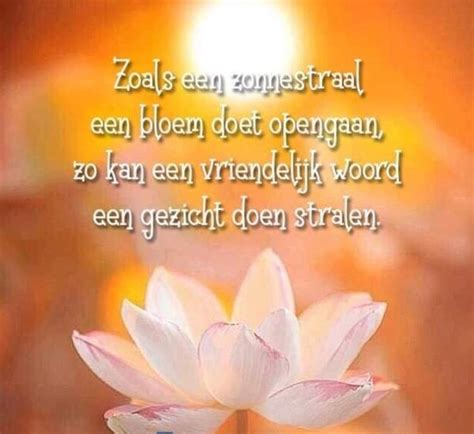 Pin Van Agnes Op Grappige Citaten In 2024 Motiverende Woorden