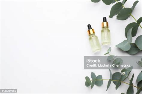 유칼립투스 에센셜 오일과 흰색 배경에 식물 가지 평평한 누워 병 텍스트를 위한 공간 0명에 대한 스톡 사진 및 기타 이미지 0명 나뭇가지 녹색 Istock