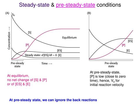 Ppt Enzymes Kinetics Inhibition Regulation Powerpoint Presentation Id2699047