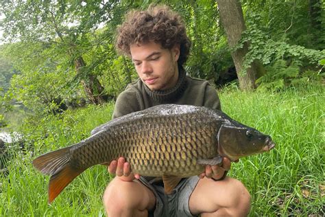 Common Carp 6 0 Kg Specimen Baits