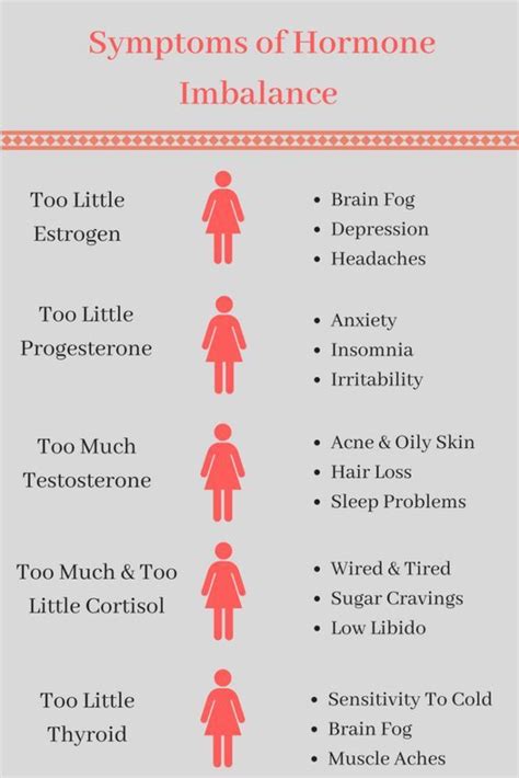 How Endocrine Disruptors Affect Reproduction Artofit