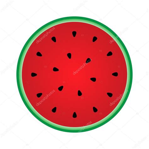 Watermelon Sliced In Halfvector — Stock Vector © Nortongo 97296304