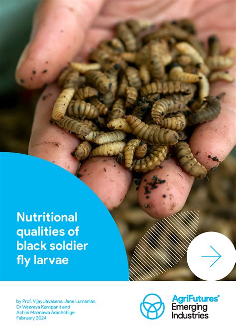 Nutritional qualities of black soldier fly larvae | AgriFutures Australia