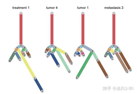 10x单细胞（10x空间转录组）肿瘤数据分析之肿瘤进化树 知乎