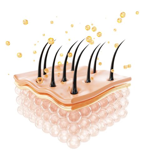 O O SCALP CARE SET O O Professional Scalp Care