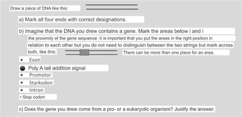 Solved B Imagine That The DNA You Drew Contains A Gene Chegg