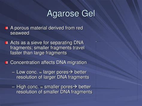 Ppt Restriction Digestion And Analysis Of Lambda Dna Kit Powerpoint