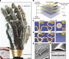 Artificial Skin That Senses And Stretches Like Human Skin TFOT