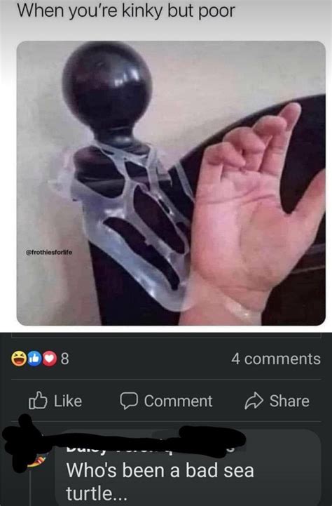 Whos Been A Bad Sea Turtle Might Be A Repost Idk How To Check😅 R