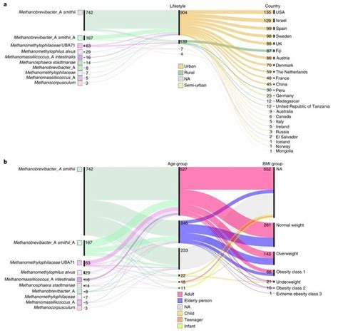 장내 미생물 군집 분포도 고세균은 12 차지