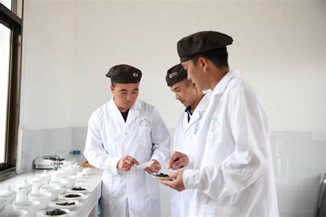 宫廷、特级等7个不同等级熟茶的区别是什么？外观特点、口感优势 知乎