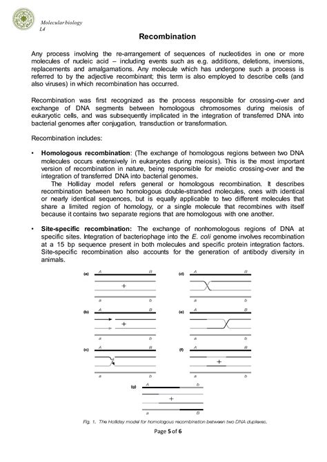 Mutation Recombination And Transposition Pdf