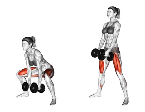 Dumbbell Sumo Deadlift Benefits Muscles Worked And More Inspire Us