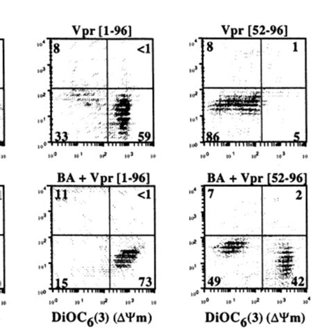Effects Of Vpr On Human Primary Pbls A Effect Of Vpr And Vpr Derived Download Scientific