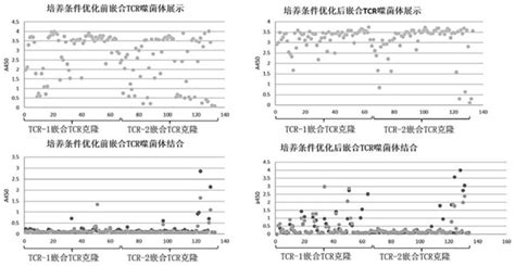 稳定的tcr结构及应用 Cn112239495a 专利顾如