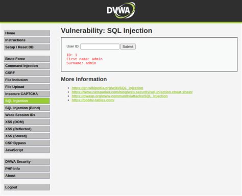Damn Vulnerable Web Application Hacking Top Easy Exploits GoLinuxCloud