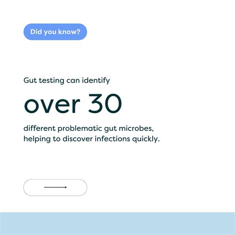 Gut Testing Kit Interpretation And Recommendations Included Gutpersonal