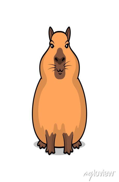 Funny Chubby Capybara Vector Cartoon Illustration Isolated On Posters