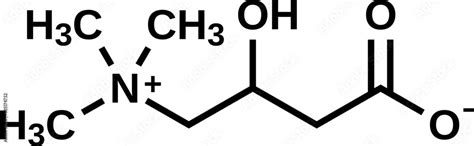 Levocarnitine Structural Formula Vector Illustration Stock Vector