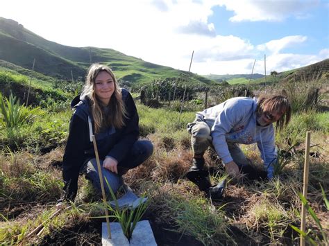 2 Million Native Plants And Counting Trees For Survival Charitable