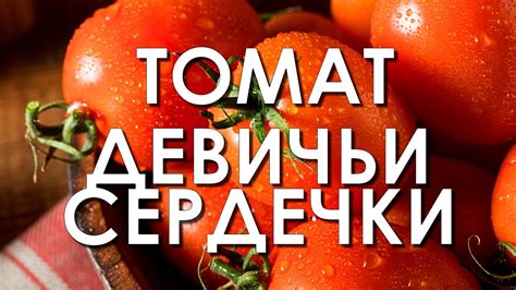 Обзор сорта помидоров томатов "Девичьи сердечки" (характеристики ...