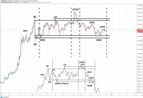 An Illustrated Schematic Of Distribution