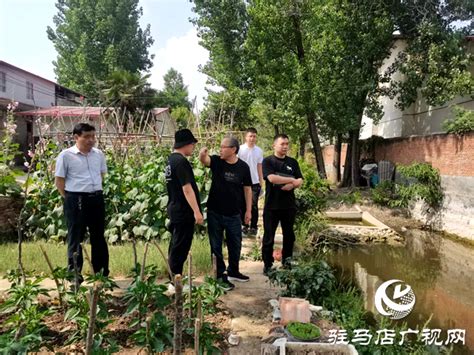 驻马店市生态环境局遂平分局：提升污水处理能力 改善农村人居环境 驻马店新闻 驻马店广视网